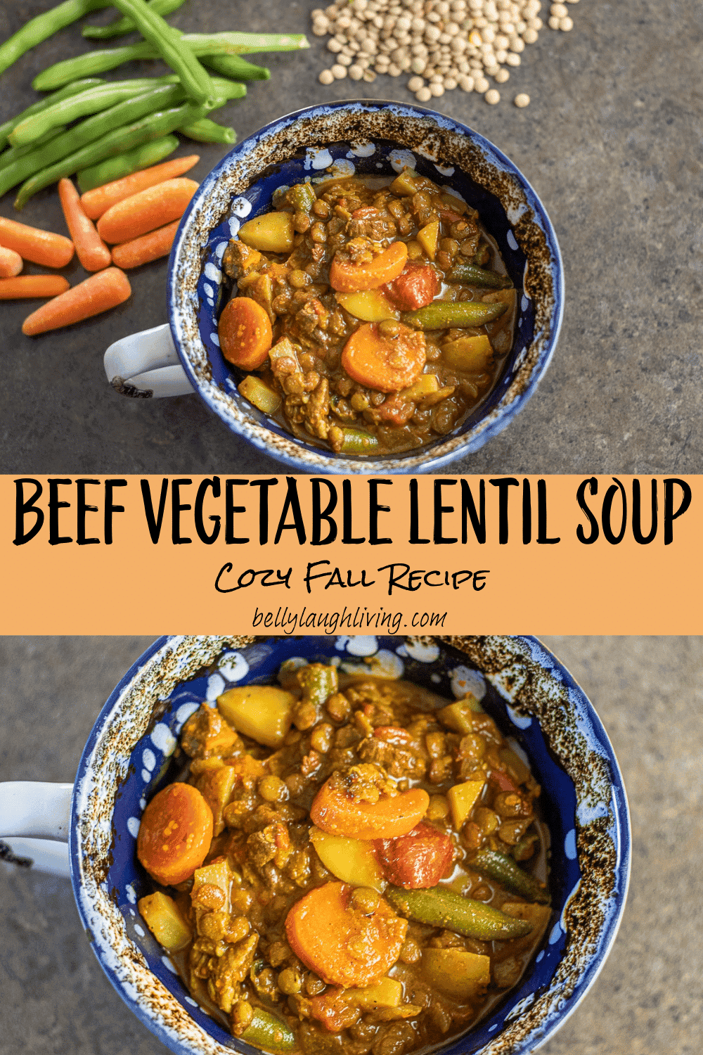 Beef Vegetable Lentil Soup: Hearty Comfort Recipe